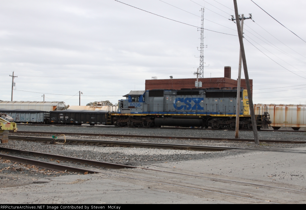 CSX 8036